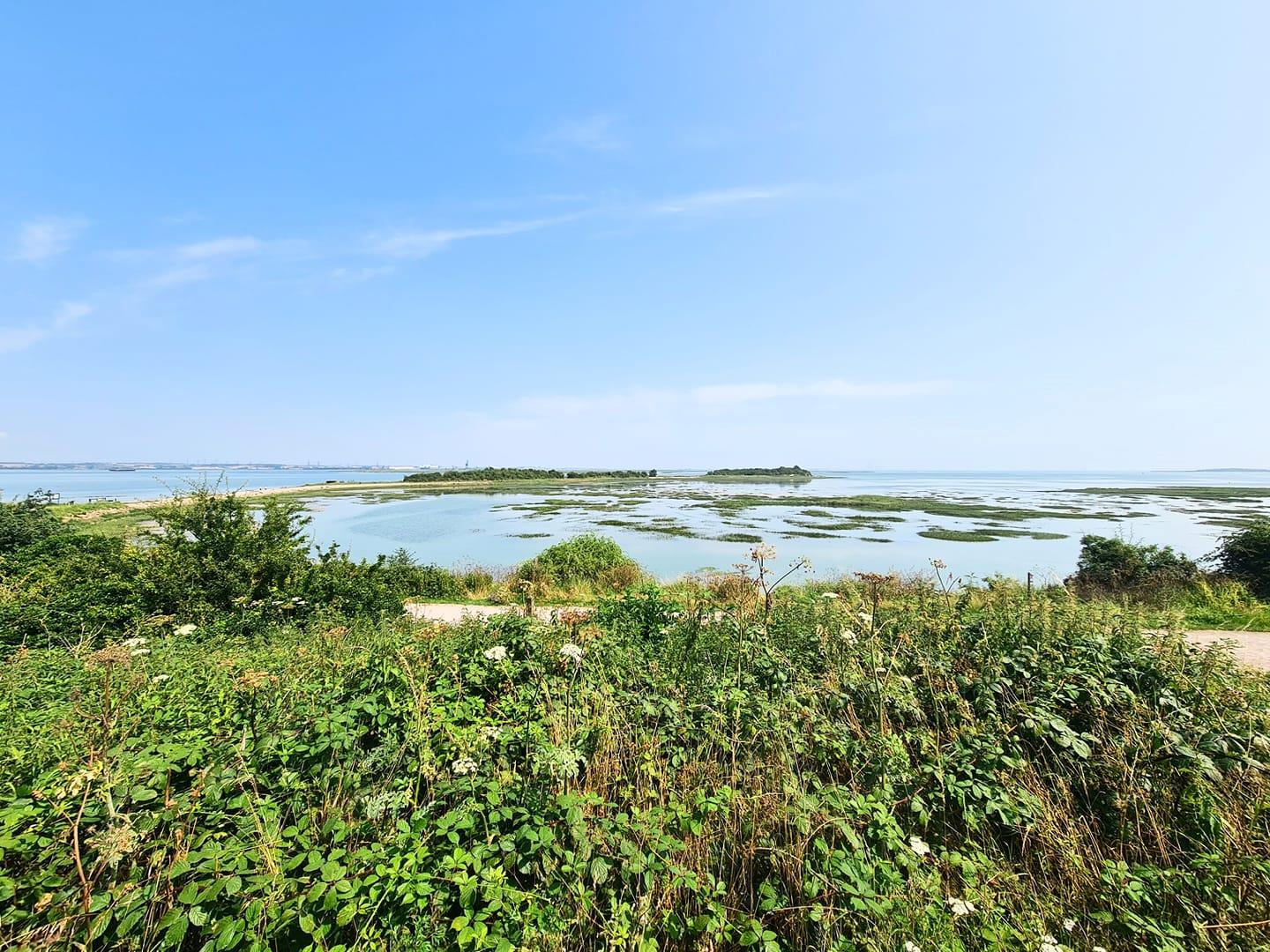 Riverside County Park | Visit Medway - Visit Medway