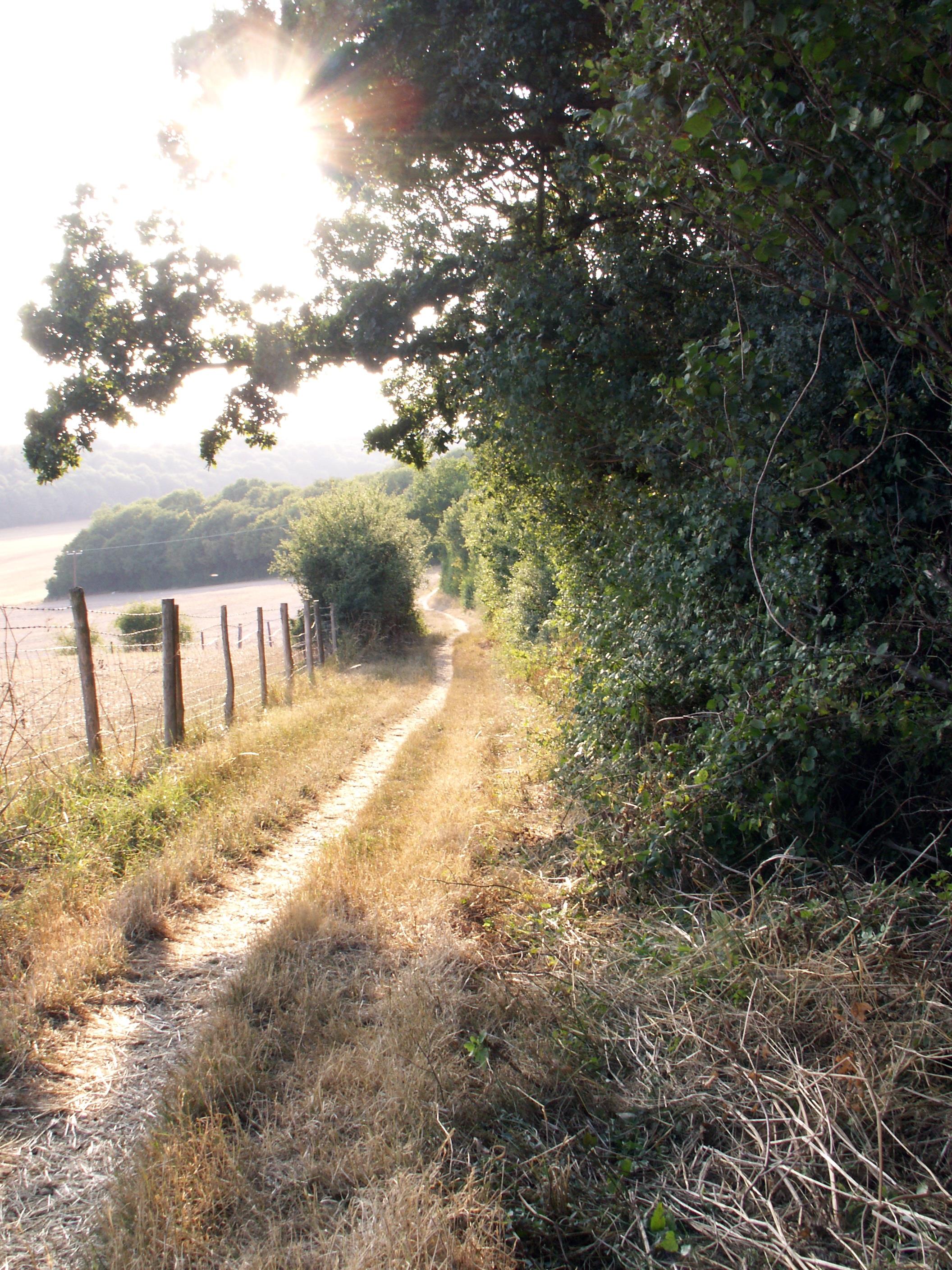 Natural Landscape & Open Spaces - Visit Medway